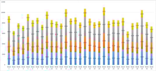 Wendler 531 detailed 8 month review [Article, Video]